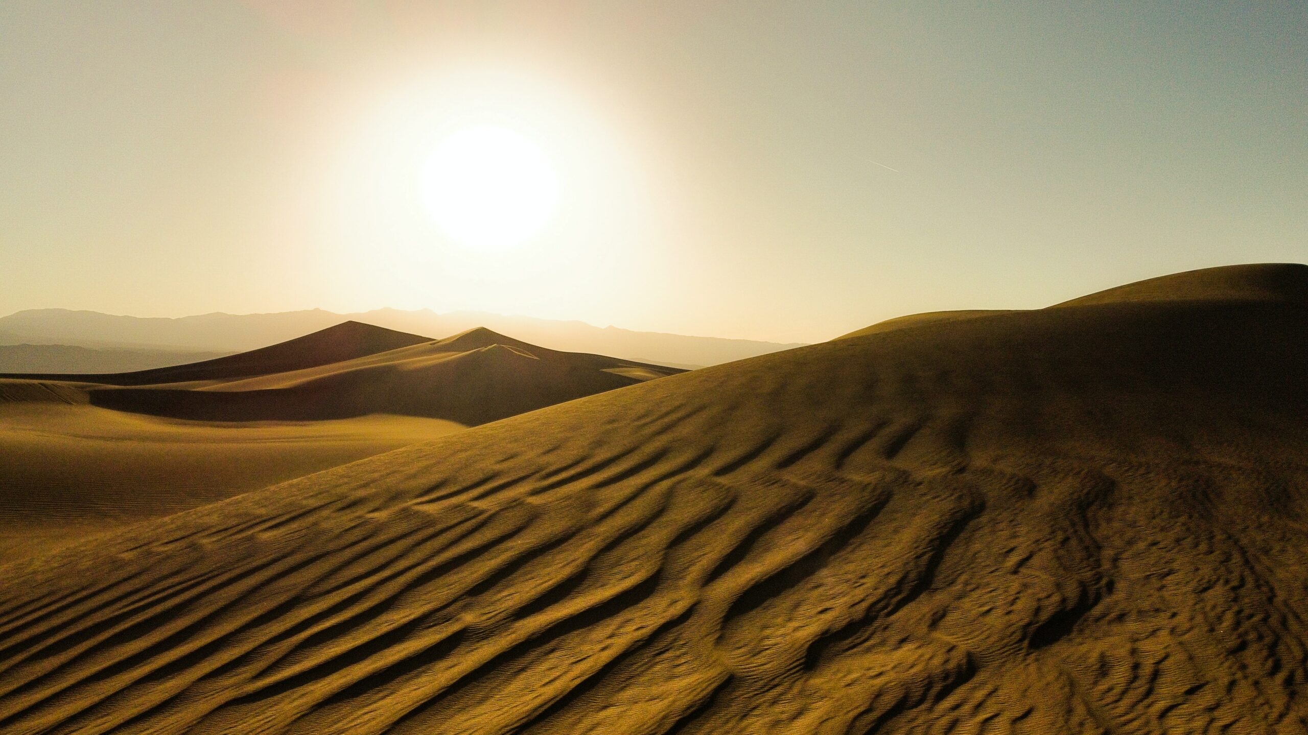 Home - Tuxford Primary Academy